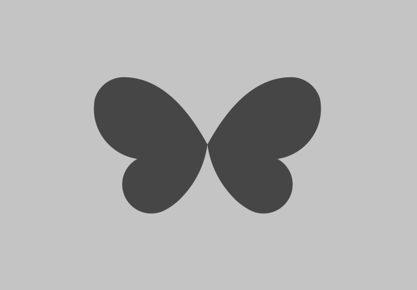 Stylo Design - Design & Digital Consultancy